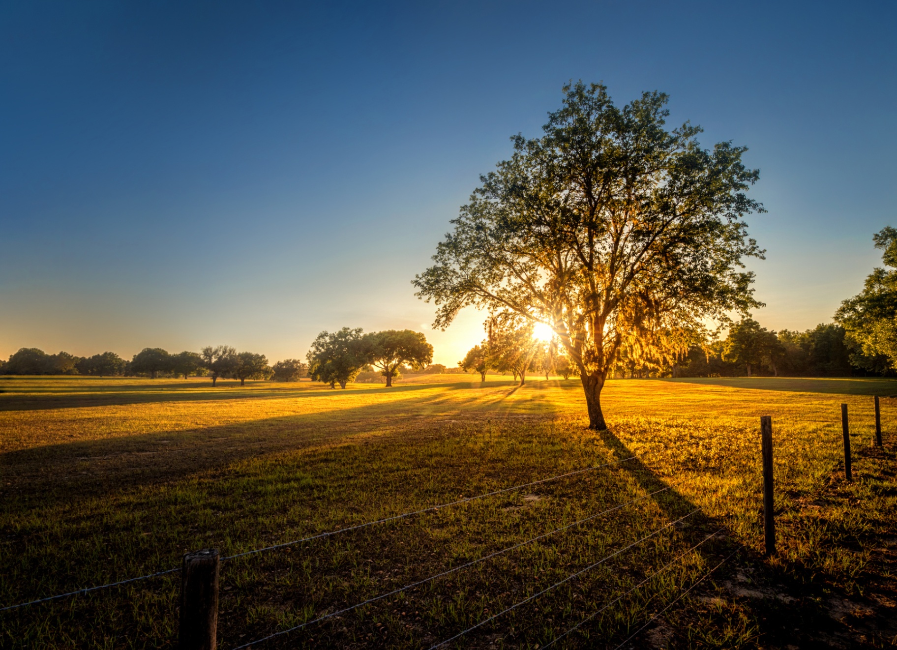 Taiter Capital | Private Family Office